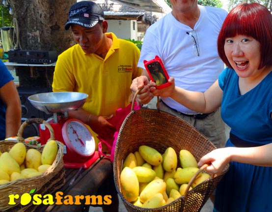 2013bb – Rosa Farms
