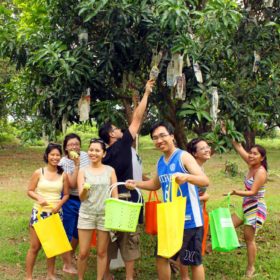 Rosa Farms – Rosa Farms, Zambales, Philippines -The Best and Sweetest ...