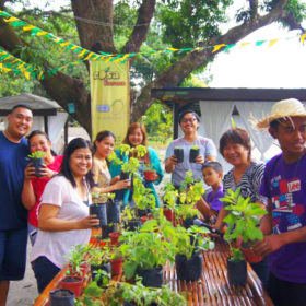 Rosa Farms – Rosa Farms, Zambales, Philippines -The Best and Sweetest ...