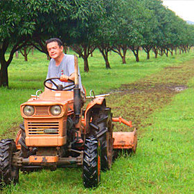 Rosa Farms – Rosa Farms, Zambales, Philippines -The Best and Sweetest ...
