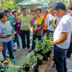 Rosa Farms – Rosa Farms, Zambales, Philippines -The Best and Sweetest ...