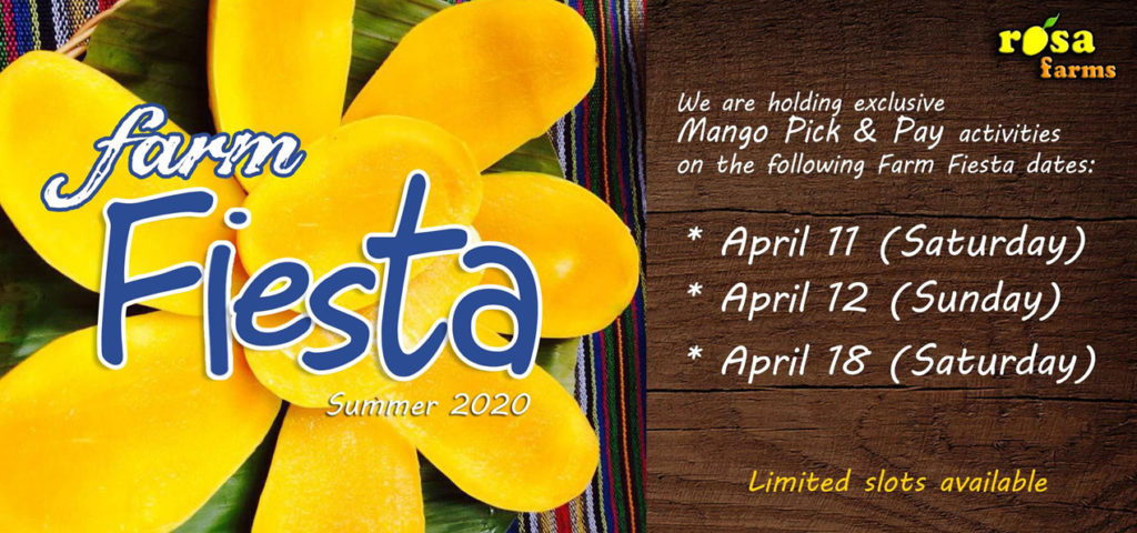 Rosa Farms – Rosa Farms, Zambales, Philippines -The Best and Sweetest ...